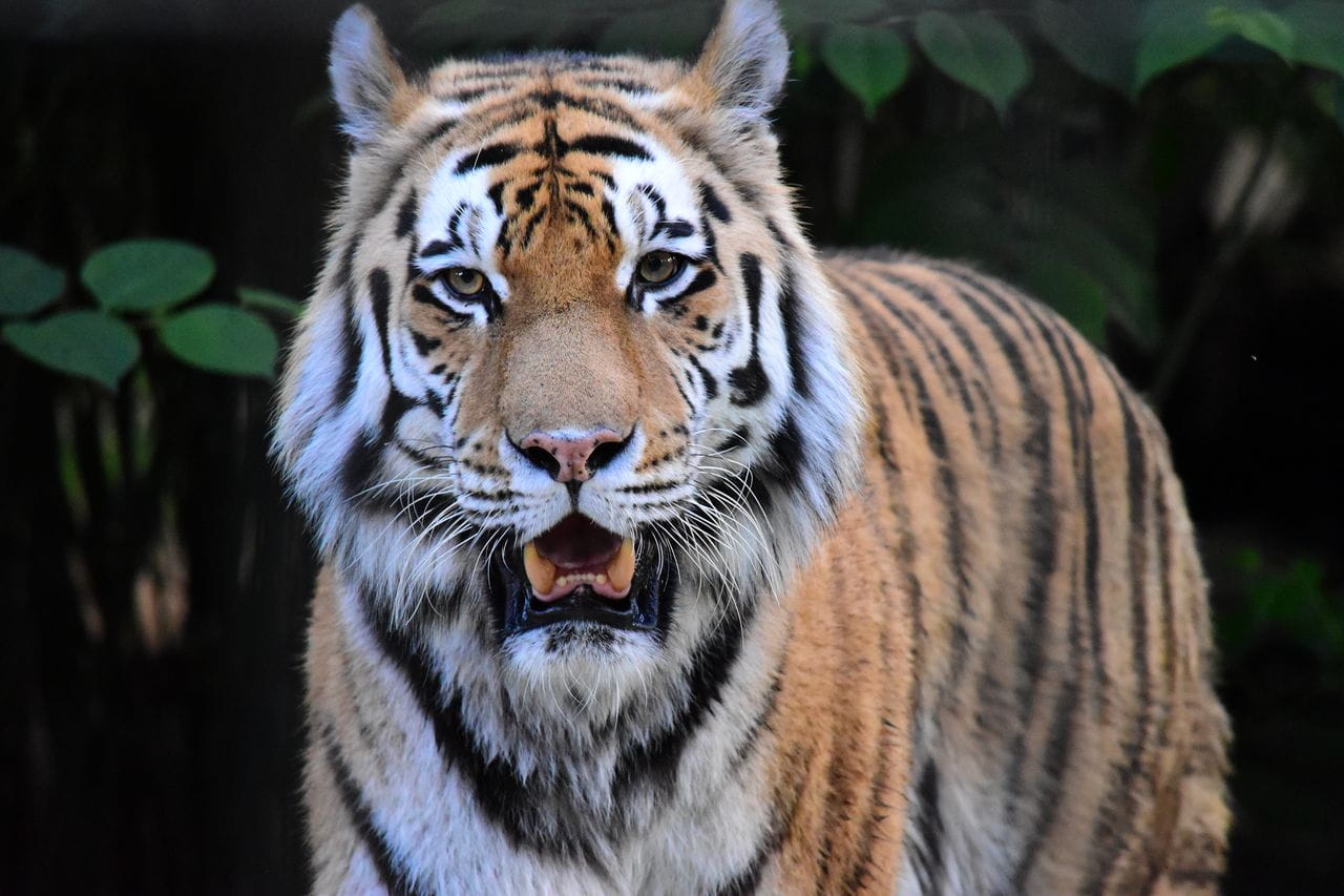 OOC - Out Of Camera: Was du wissen musst